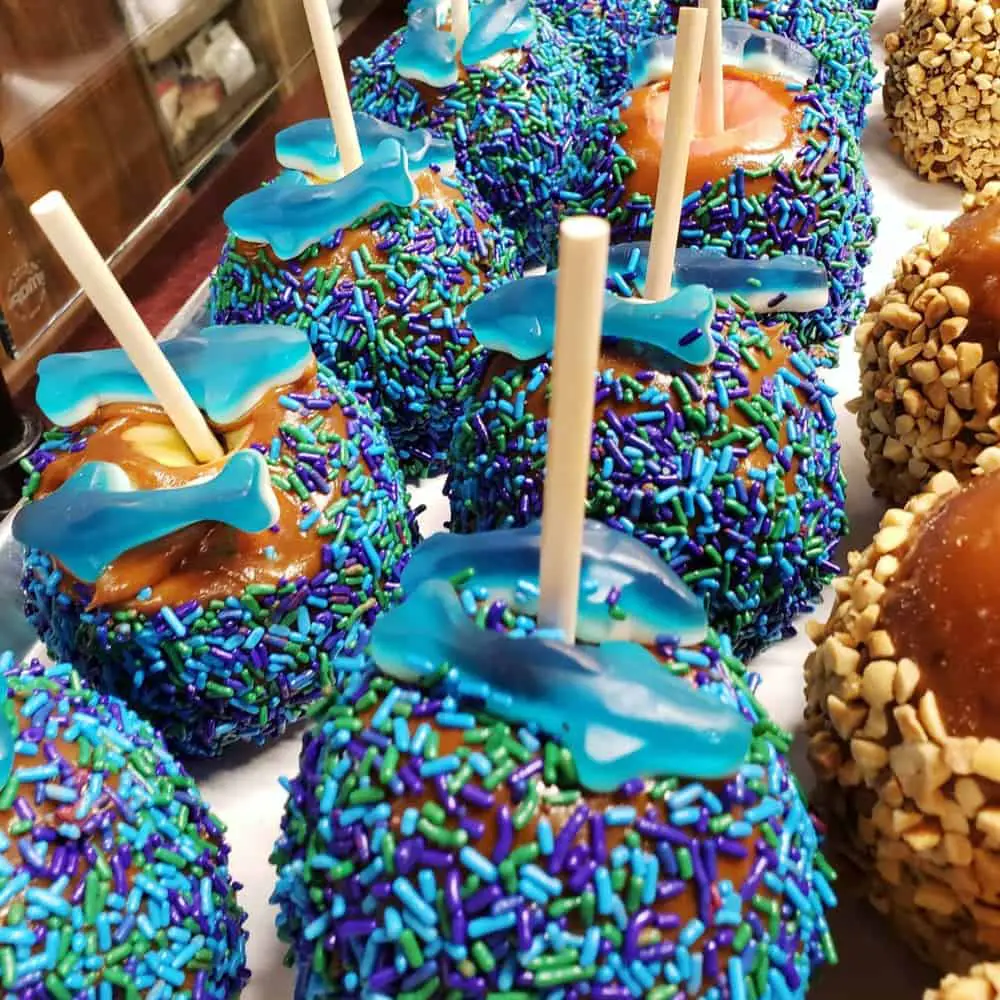 The Best Candy Stores In New Hampshire - Here In New Hampshire