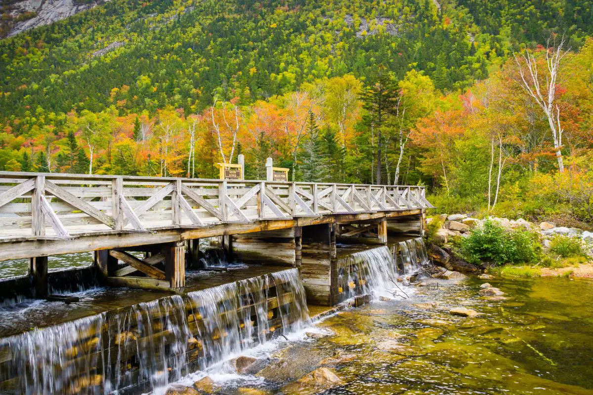 New Hampshire Fall Festivals - Here In New Hampshire